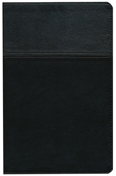 KJV/Amplified Parallel Bible/Large Print-Black Bonded Leather Two Bibl ...
